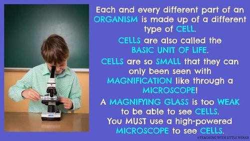 Plant & Animal Cells Lessons & Guided Notes | DIGITAL & Print | TPT