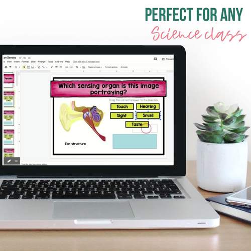 Animal and Plant Structure and Function Task Cards 4-LS1 Review ...