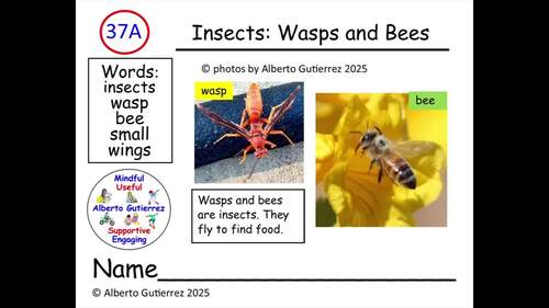 Insects: Wasps & Bees #37A by ALBERTO GUTIERREZ | TPT