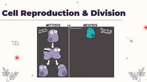 Cell Reproduction & Division - Meiosis (PowerPoint & Doodle Notes Bundle)