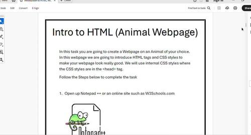 Intro to HTML and CSS Web Design - Animal Webpage 9th - 12th Grade by ...