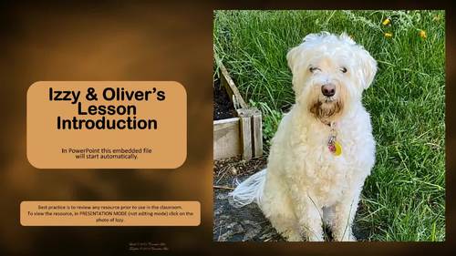 Ready to Use No Prep Fear Anxiety Self-talk Social-emotional SEL Lesson ...