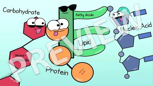 Introduction to Nucleic Acids Lesson Bundle | PPT + Notes + Lab | TPT