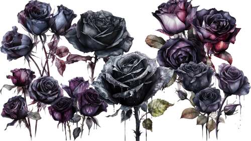 Watercolor Gothic Black Roses Clipart Set of 20 Files by ...
