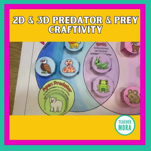 2D & 3D Predator and Prey Craft | Hands-On Food Chain Science Activity
