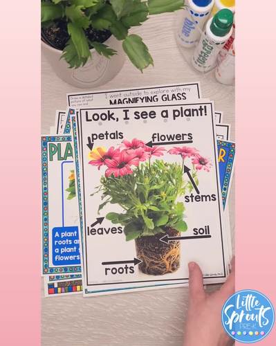 Science Resources for Little Learners Plant Theme by Little Sprouts Pre-K