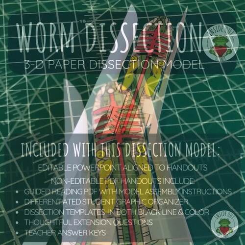 Earthworm Dissection Zoology | Biology 3-D Anatomy Paper Dissection ...