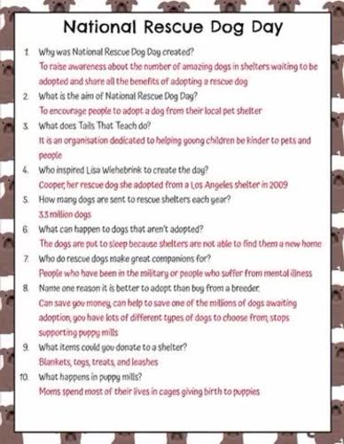 National Rescue Dog Day Reading Comprehension Worksheets | TPT