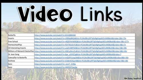 Insects Nonfiction Digital and Printable Slides, Books, and Activities