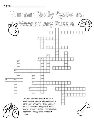 Human Body Systems Vocabulary Crossword Puzzle by Secondary Science HQ