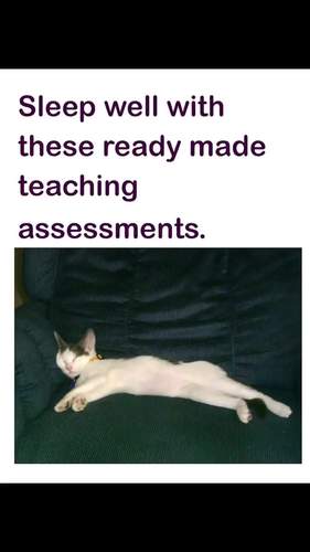 Spanish Possessive Adjectives Teaching Material & Assessment by RoyAltis