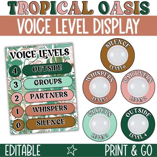 Editable Voice Level Posters / Boho Push Lights Noise Level Display
