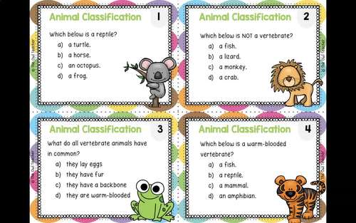 Animal Classification Task Cards | Vertebrate and Invertebrate Task Cards
