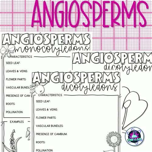 Biology Notes - High School Biology and Life Science Curriculum Bundle