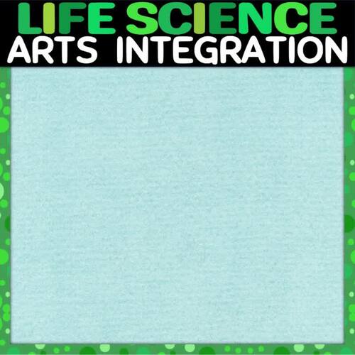 SCIENCE in ART Bundle: Elementary Art Curriculum – 3rd Grade STEAM Art ...