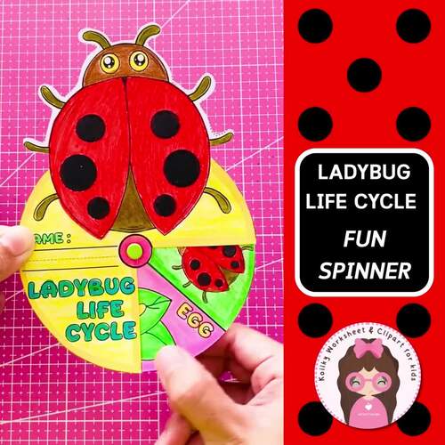 Ladybug Life Cycle Worksheets | Mini Book, Cut & Paste, Spinner Craft
