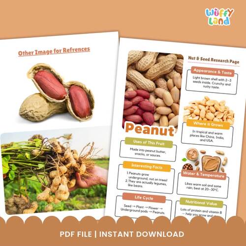 Peanut Research Page Writing Worksheet – Fact and Picture Science Center