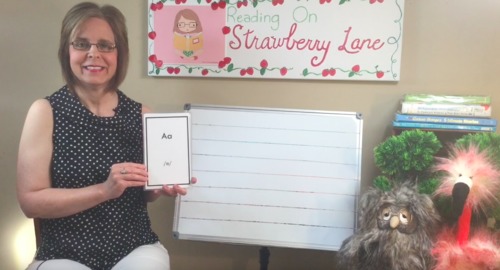 VIDEO: Reading: Set 1. Lesson 50. Word Family Pattern -ob | TPT