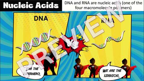 DNA and RNA Lesson Bundle - PowerPoint, Guided Notes, Aligned Activity