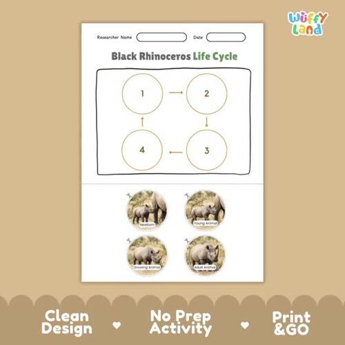 Black Rhinoceros Life Cycle Poster and Cut and Paste Worksheet Activity