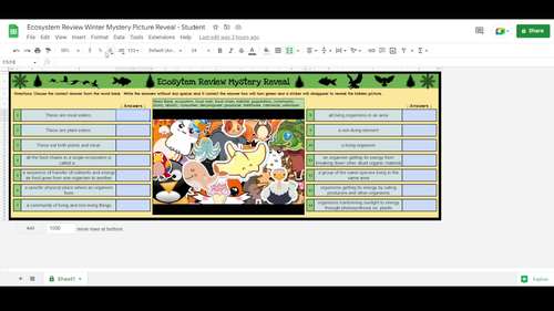 Ecosystem Vocabulary Review Mystery Winter Themed Activity by All in a ...
