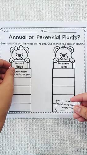 Annual or Perennial Plants? Cut and Paste Sorting Activity by Taketing ...