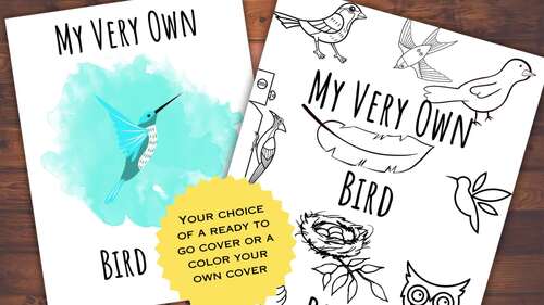Bird Activities - Build Your Own Bird Book by Barefoot Learning | TPT