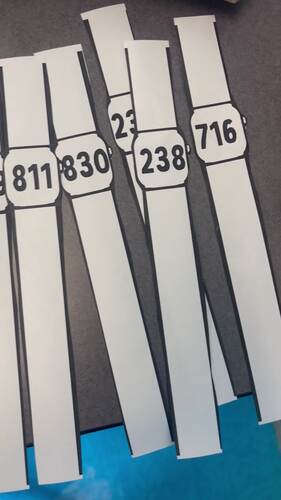 "Smart Watch" Student Reminders Printable Band by Mrs. Pompilii's Classroom
