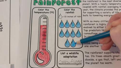 Biome Coloring Pages + Research Worksheets, 5th–8th Grade Ecosystems Unit