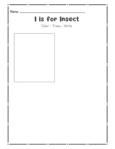 Insects and Bugs Activity Worksheet Packet: Preschool & Kindergarten ...
