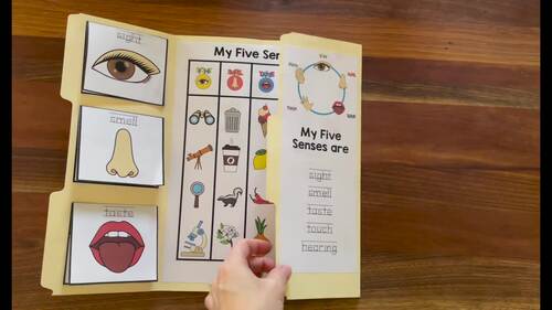 Five Senses Activity My Five Senses Lapbook 5 Senses Simple Primary ...