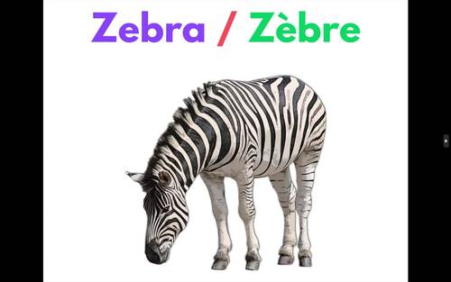Bilingual English / French Zoo Animals Vocabulary cards - PDF + Google ...