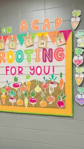 Testing Encouragement Bulletin Board Rooting for You! | TPT