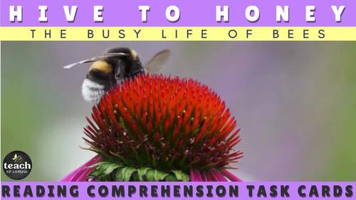 Bees: Reading Comprehension Task Cards for Grade 3-4: Passages and ...