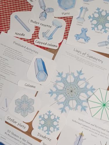Geometry in the Snow: the ultimate winter math unit by Wild Earth Lab