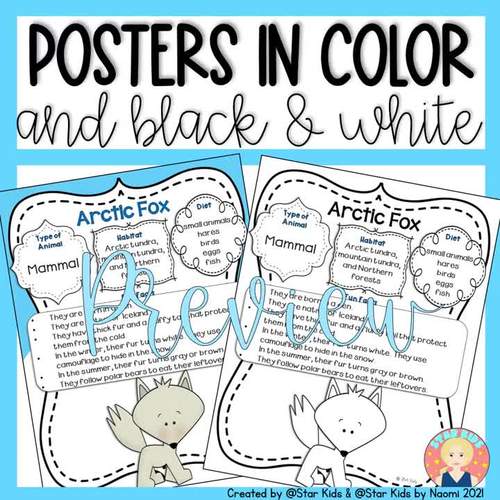 Arctic Animals Unit for Kindergarten | Arctic Fox Activities by Star Kids