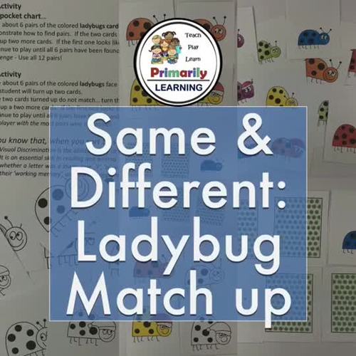Match the Same and Different Ladybugs | Distance Learning by Primarily ...
