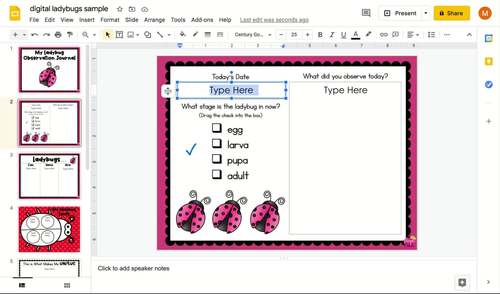 Ladybug Activities for Kindergarten: Print and Digital for Google Slides