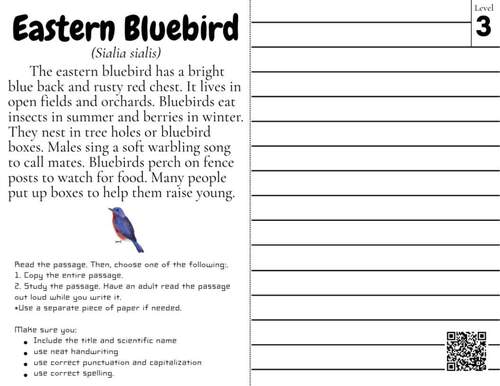 L3 Backyard Birds Nature Study Reading & Copywork Pack | Homeschool ...