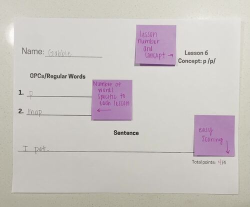 UFLI Inspired Assessment Sheets | Differentiated for Handwriting Needs
