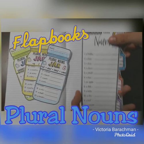 Plural Nouns ️FUN Flapbooks by ESL Classroom | TPT