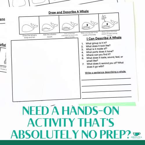 Ocean Directed Drawings - 5 Step Sequencing & Multistep Directions Activity