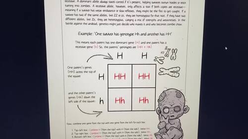 Genetics Zombie Inheritance, Apocalypse Punnett square activities ...