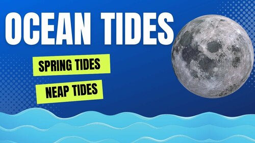 What Causes Ocean Tides? [Low Tide, High Tide, First Tide, Second Tide}