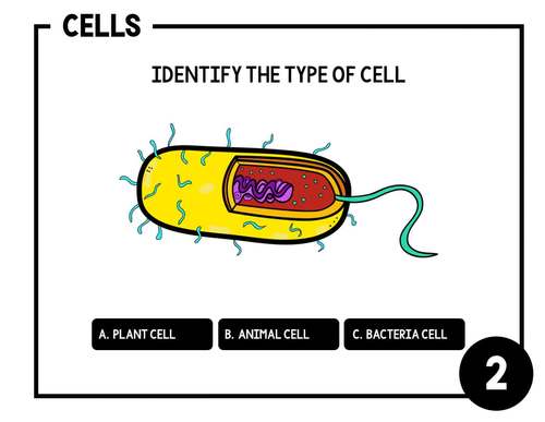 Cells Task Cards Activity | Print and Digital Science Task Cards