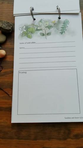 Nature Activities Nature Journal Nature Study Outdoor Scavenger Hunts ...