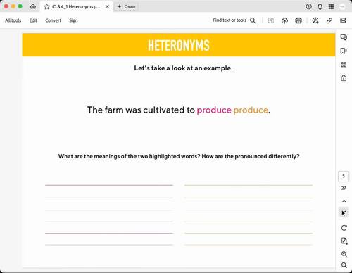 ESL Advanced Lesson: Learn Heteronyms by ESL Class Workshop | TPT