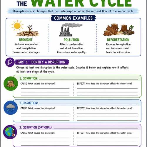 Water Cycle Mind Map Activity | CER Science Worksheet | Grades 4–6