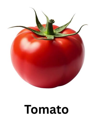 Realistic Vegetable Flashcards Gift For Kids – 28 Montessori-Inspired Cards