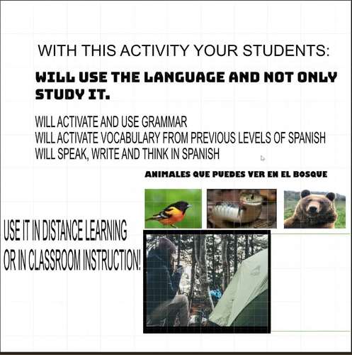 SPANISH 3 ACAMPAR GRAMMAR AND VOCABULARY ACTIVITY-DISTANCE LEARNING